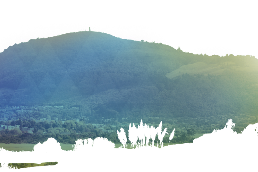 Participate | Whakapuakina mai - Rotorua Lakes Council